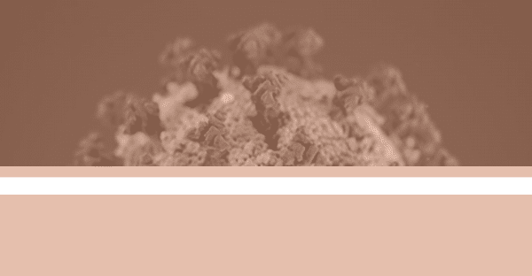 Managing Your Freedom - Compass Cares