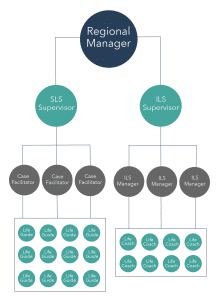 Systems and Structure - Compass Cares